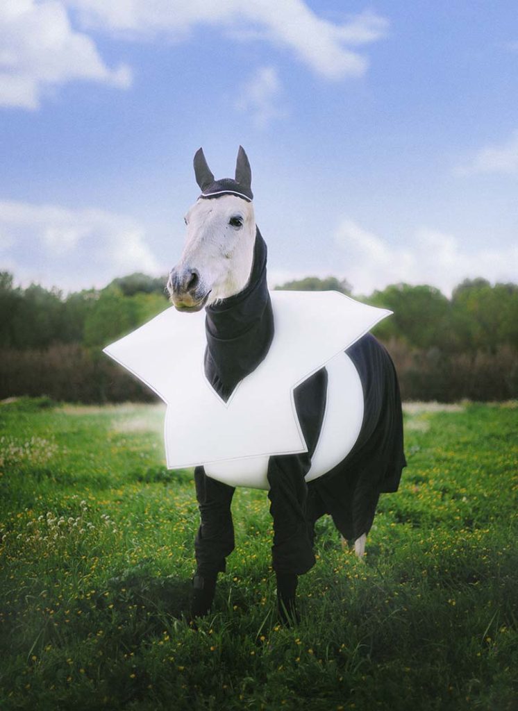 Mainline Magic Orchestra son una banda muy guay de Barcelona