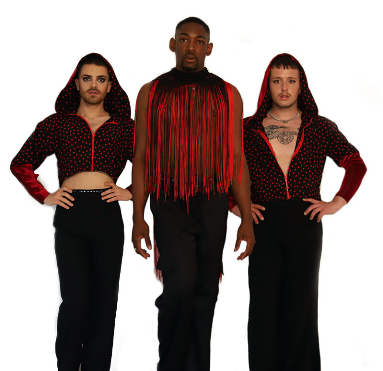 Berdache festival. Propuestas artísticas sobre género e identidad