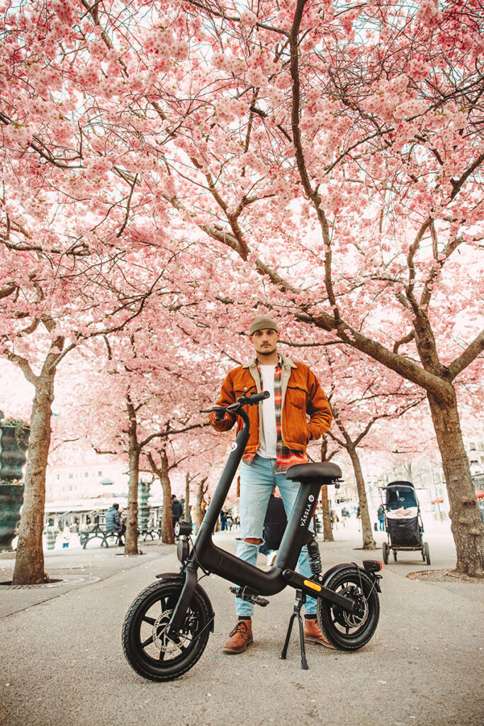 Vässla Bike: Madrid se suscribe a la revolución eléctrica
