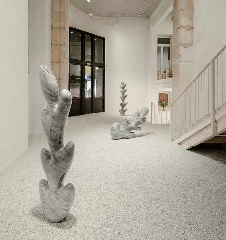 “Through Dry Ocean Forests” de Claudia Comte en Albarrán Bourdais