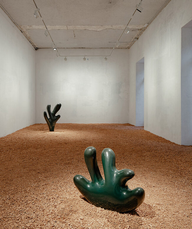“Through Dry Ocean Forests” de Claudia Comte en Albarrán Bourdais