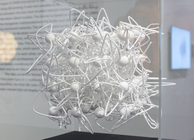 “The Art of Connection” exposición sobre Albert-László Barabási.