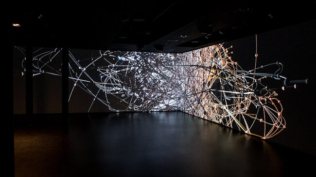 “The Art of Connection” exposición sobre Albert-László Barabási.