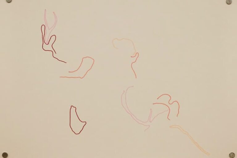 "Mevaveu" Laura Llaneli en el Centre de les Arts Lliures de Barcelona.