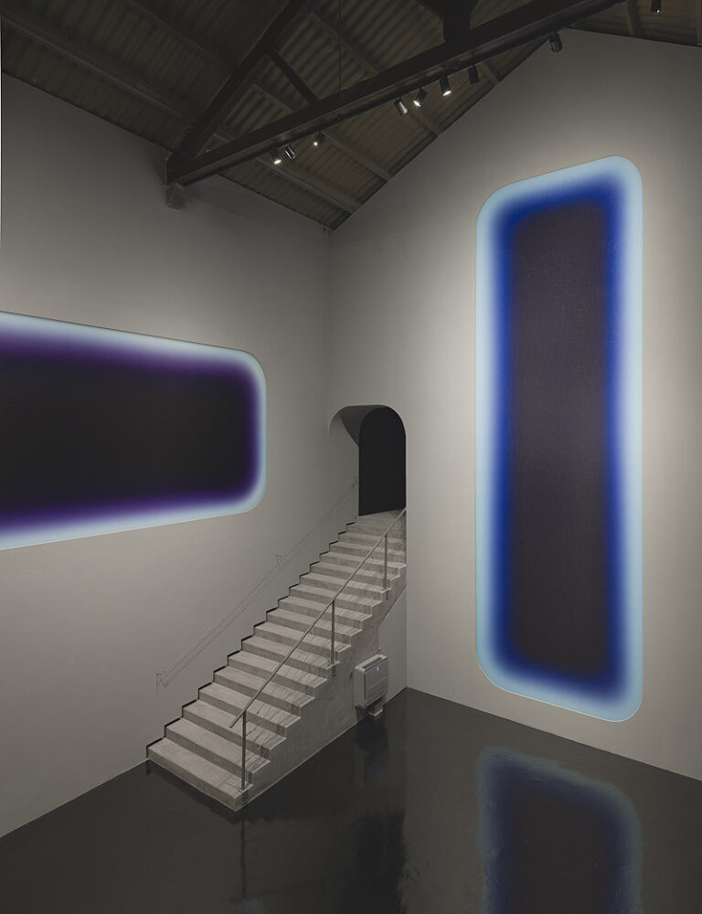 Jonny Niesche, transforma el espacio de la Nave Salinas.