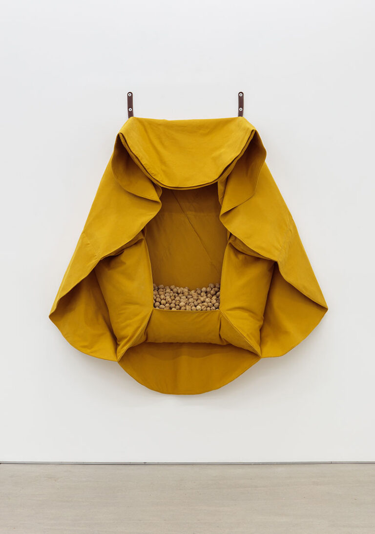 Los Objetos domésticos de Koenraad Dedobbeleer en La Verrière