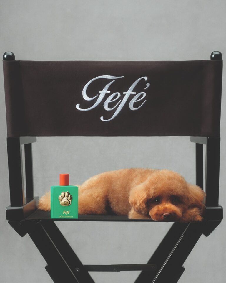 Desde hoy tu perro va a oler a la esencia más viva de la dolce vita