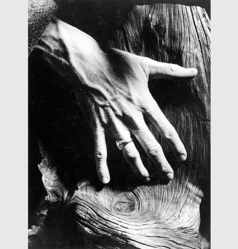 Exposición de Minor White en España | Neo2 Magazine